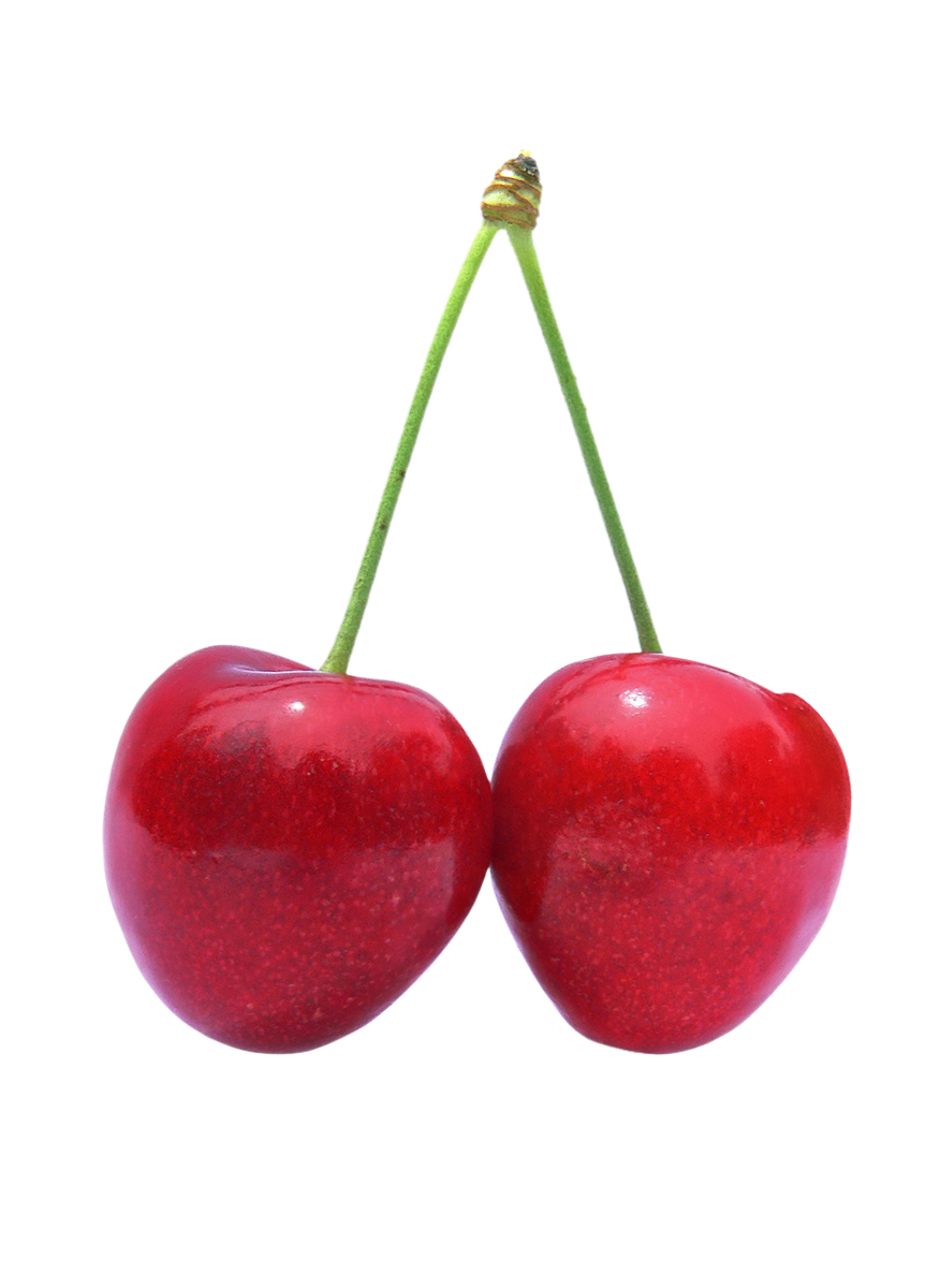 Royalty Free Footages