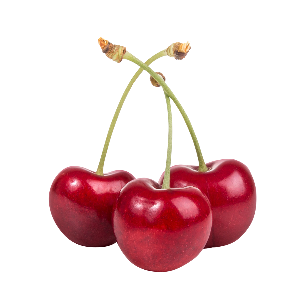 Royalty Free Footages