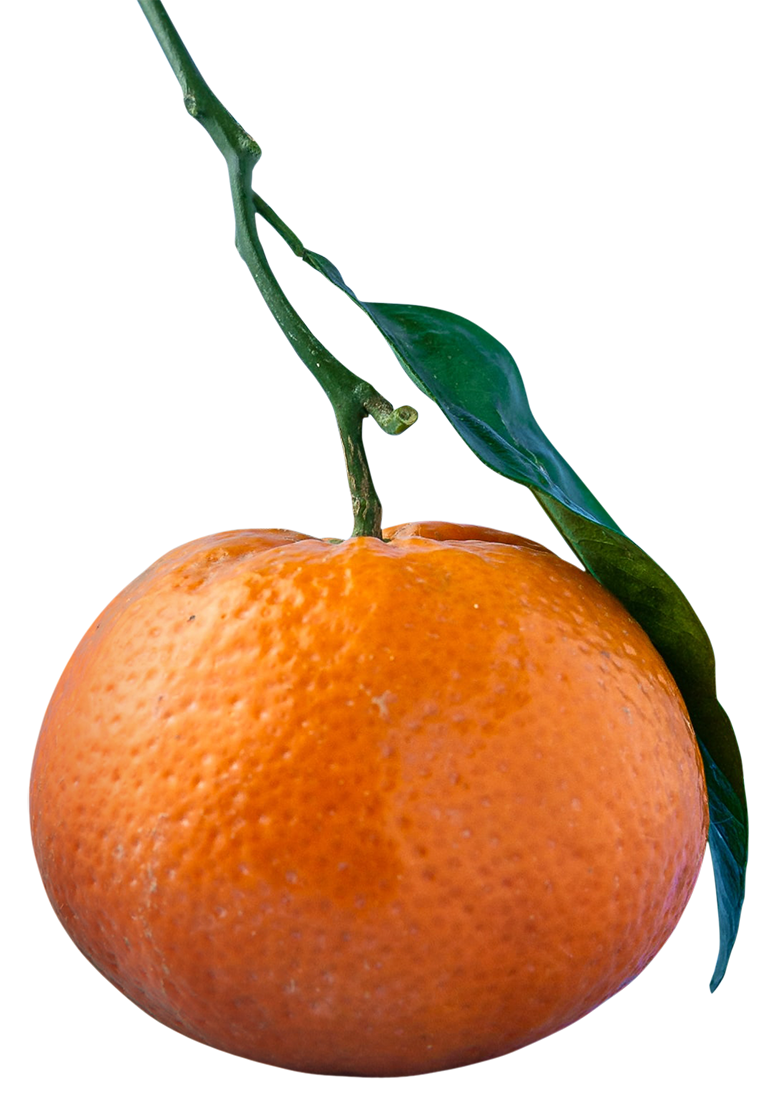 Royalty Free Footages