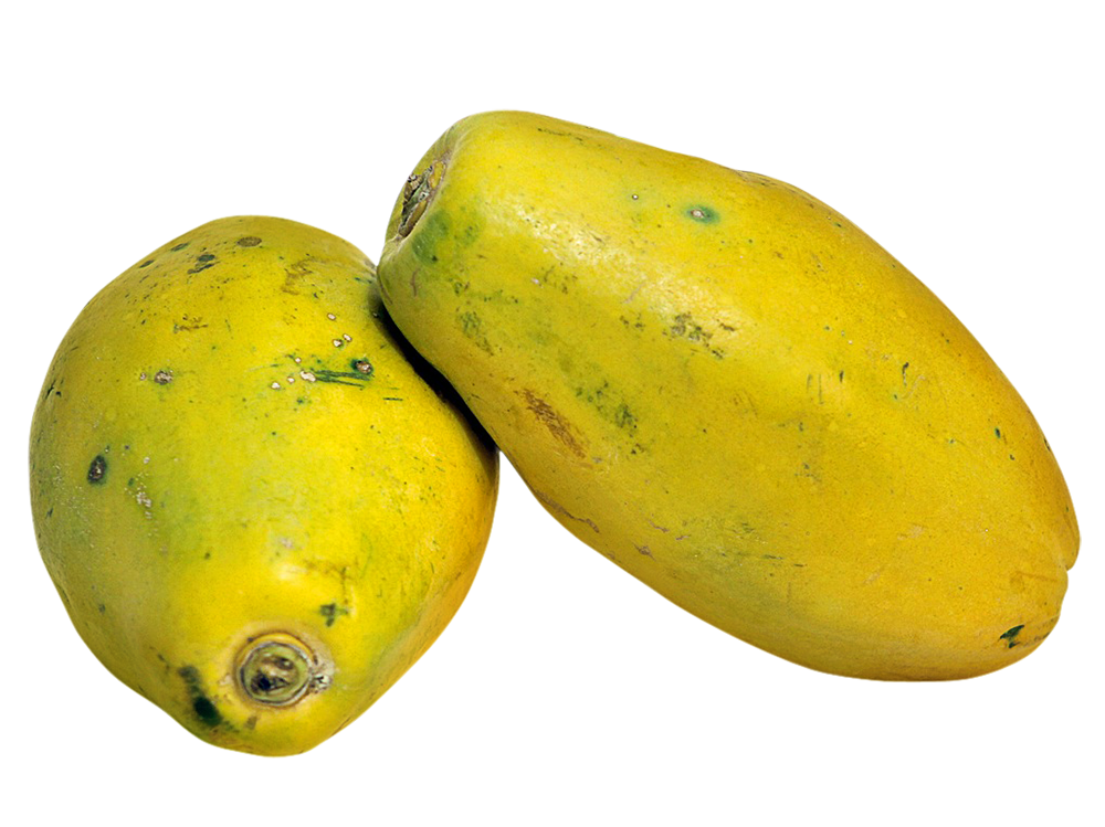 Royalty Free Footages