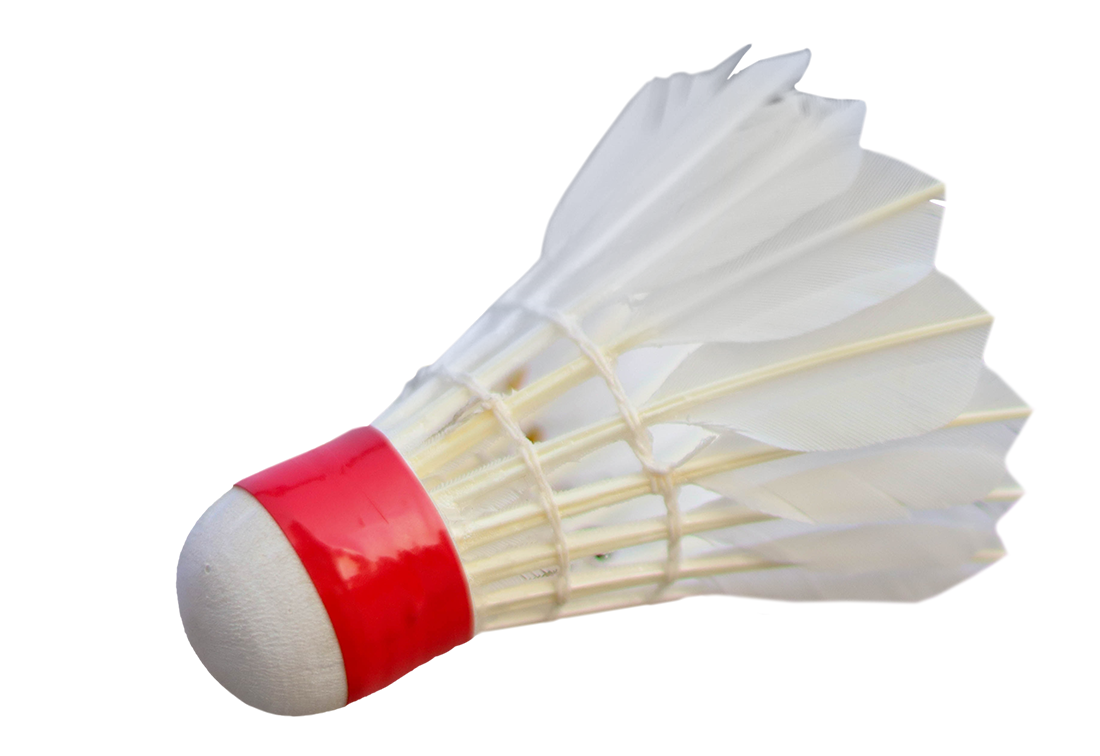 Royalty Free Footages