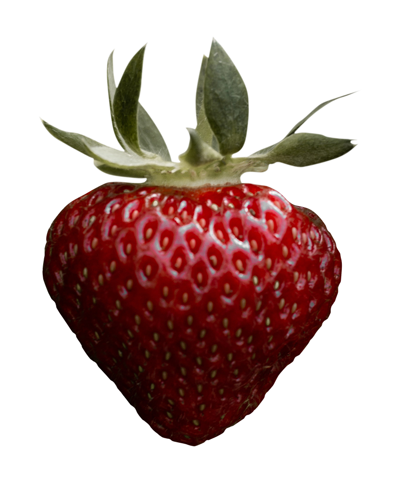 Royalty Free Footages